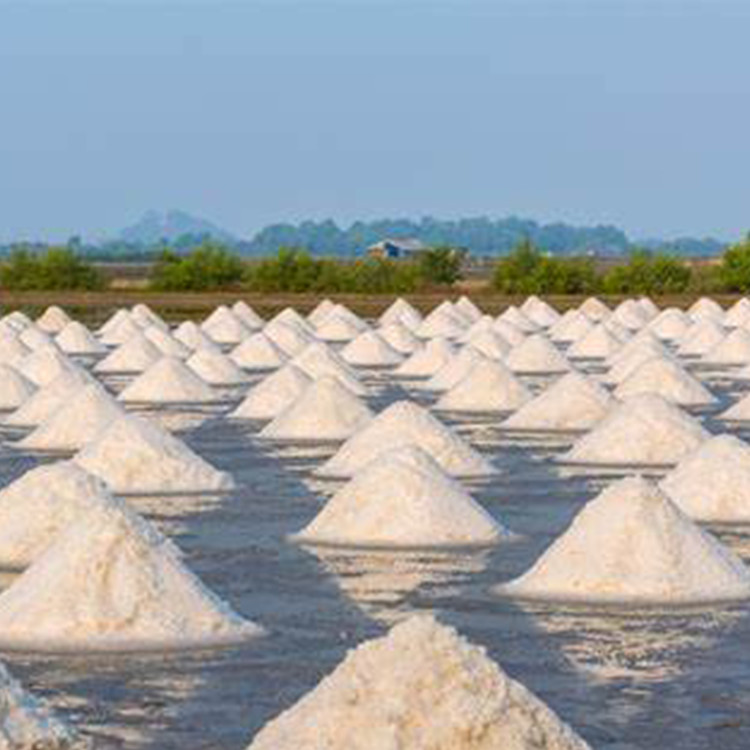 Removable Tvr Ball Vacuum Mvr Polluted Water Evaporator For Paper ...